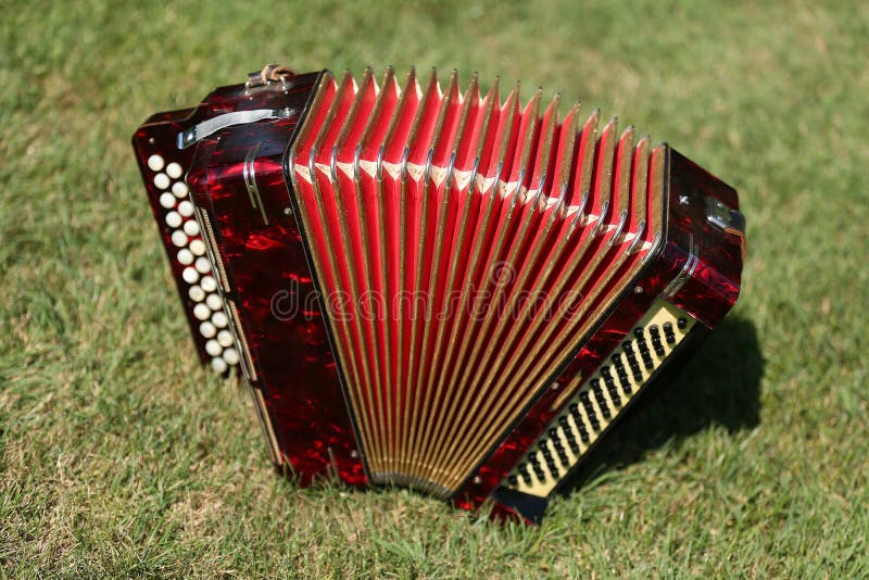 Bayan instrument stock photo. Image of nature, green - 86296464