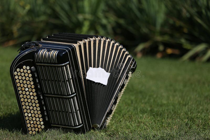 Bayan instrument editorial image. Image of instrument - 95071610