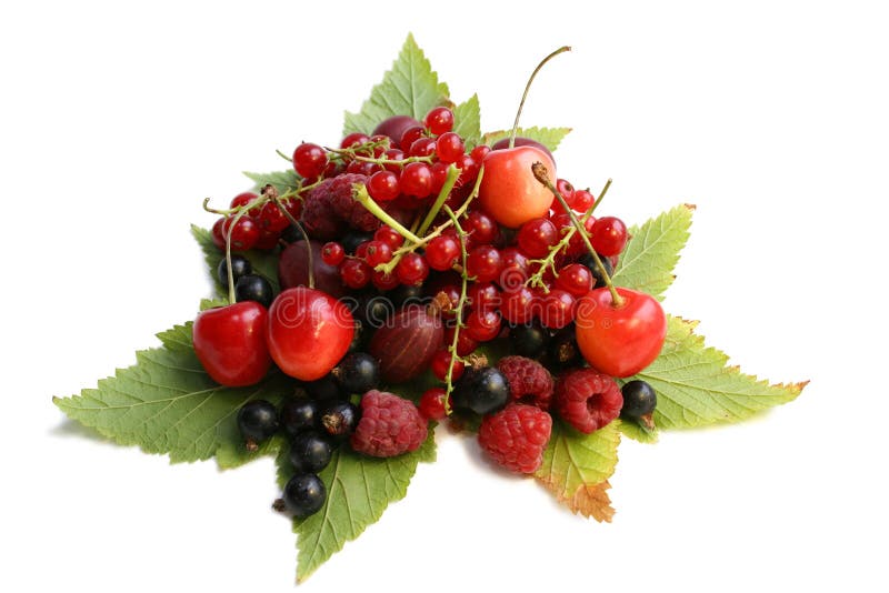 Bayas Del Bosque En Las Hojas Foto de archivo - Imagen de fruta ...