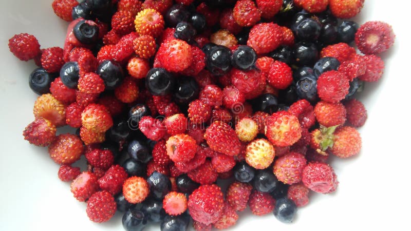 Bayas del bosque foto de archivo. Imagen de cosecha, macro - 6337760