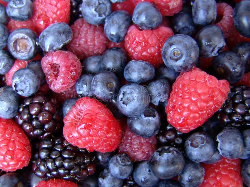 Diversas bayas frescas foto de archivo. Imagen de arándano - 35380140