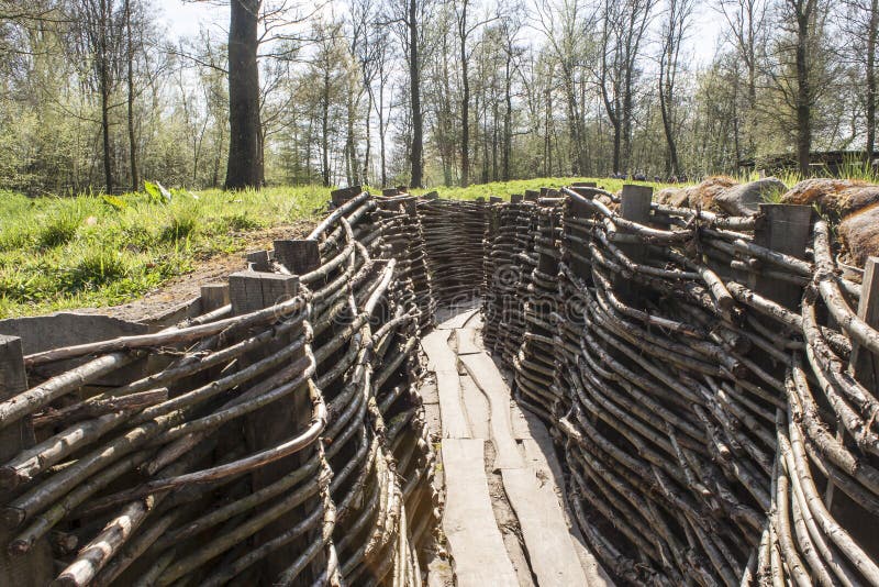 Bayernwald Trenches World War One Flanders Belgium Stock Photo - Image ...