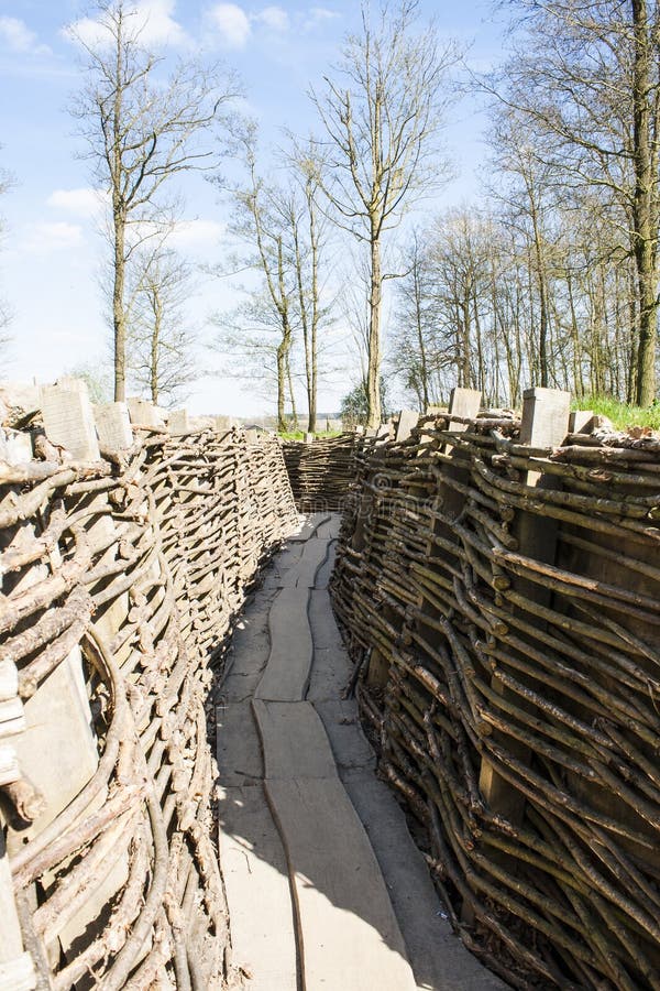The Bayernwald Trenches World War One Flanders Belgium Stock Image ...