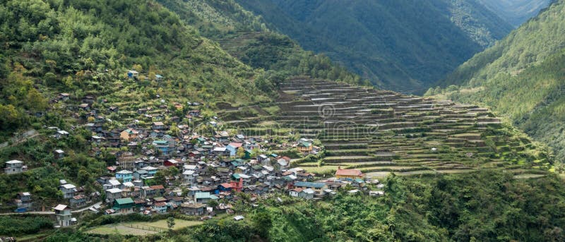 Bayo rice terraces stock image. Image of adjecent, food - 53865819