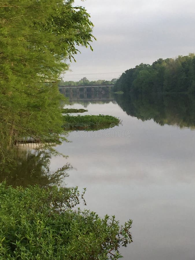 Bayou scene stock image. Image of louisiana, distance - 53430405