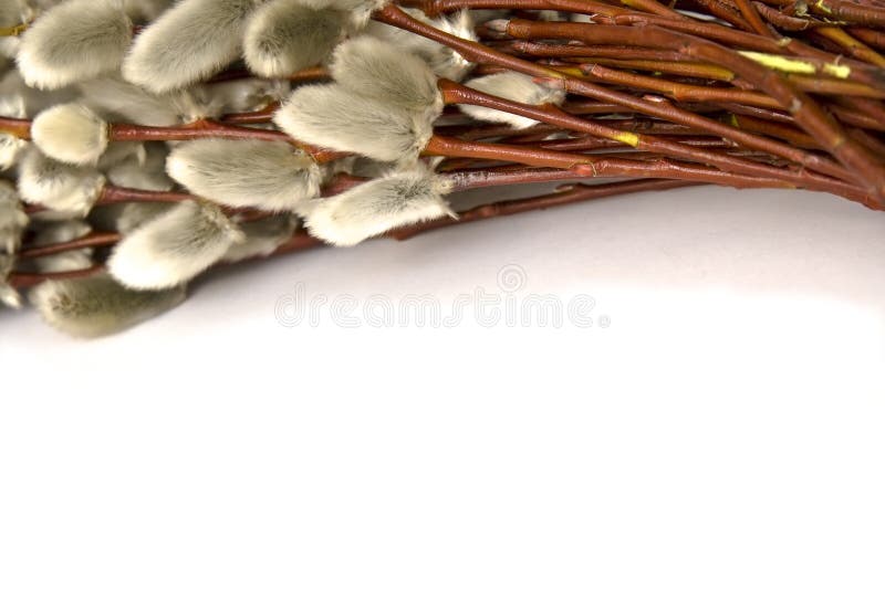 Bazie obraz stock. Obraz złożonej z milutki, dużo, bazie - 4692503