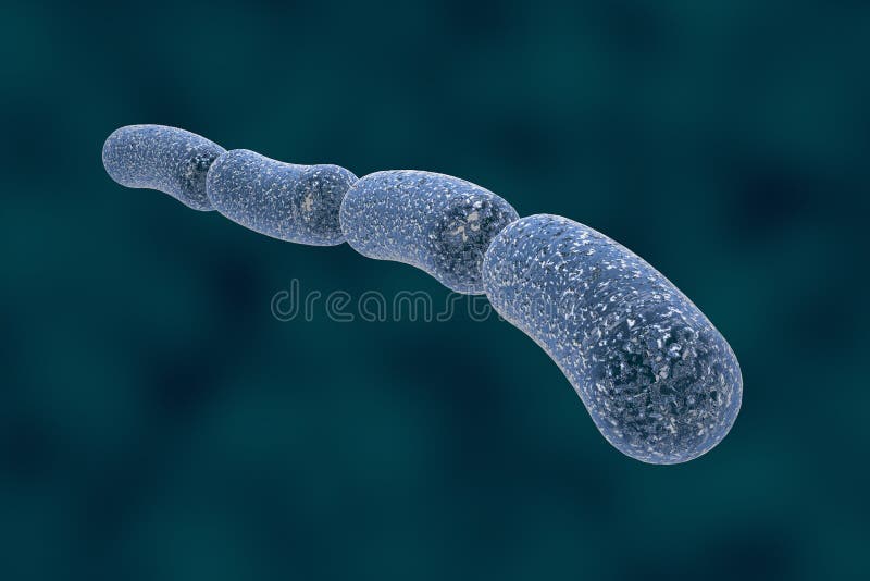 Bazillus Anthracis, Heller Mikrograph Und Illustration Stock Abbildung ...