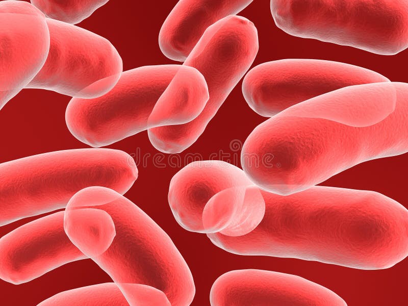 Bazillus Bakterium stock abbildung. Illustration von bakterium - 3347194