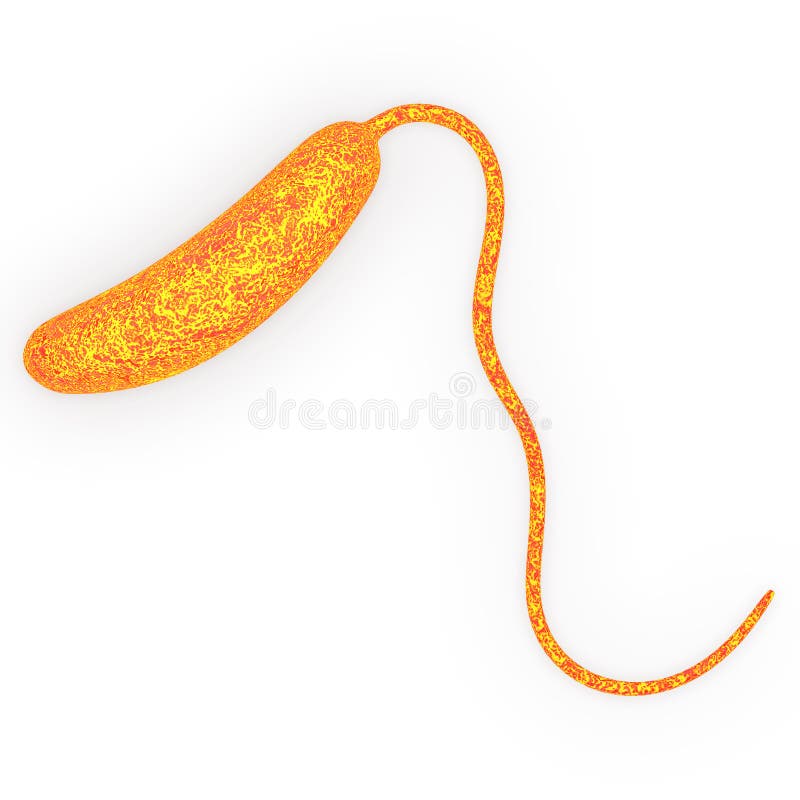 Bazillus Bakterium stock abbildung. Illustration von krankheit - 46412832