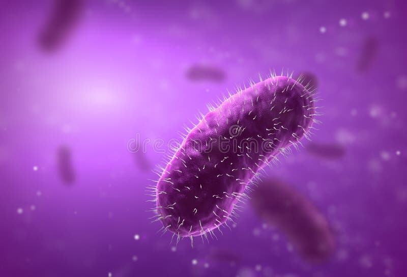 Bazillus Bakteriumnahaufnahme Stock Abbildung - Illustration von ...