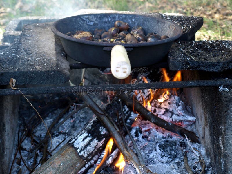 BBQ stock image. Image of meal, broiling, food, flame - 7470417