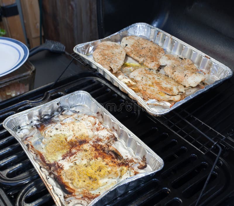 BBQ stock photo. Image of protein, poultry, barbeque, food - 9742666