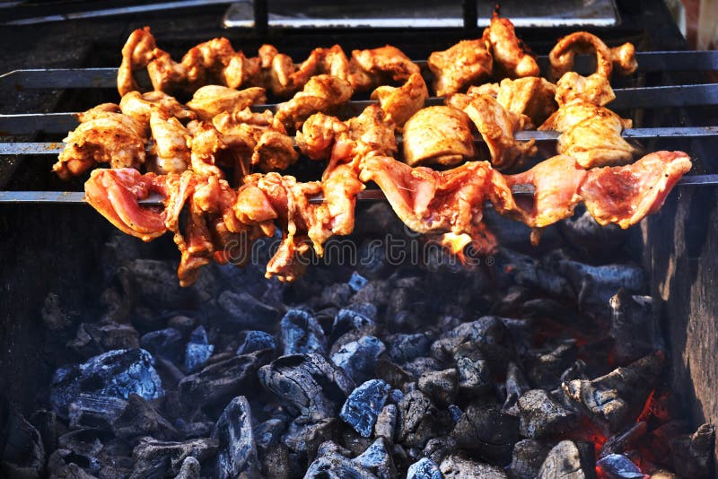 BBQ Chicken. Small Pieces of Poultry Meat are Cooked Over Coals Stock ...