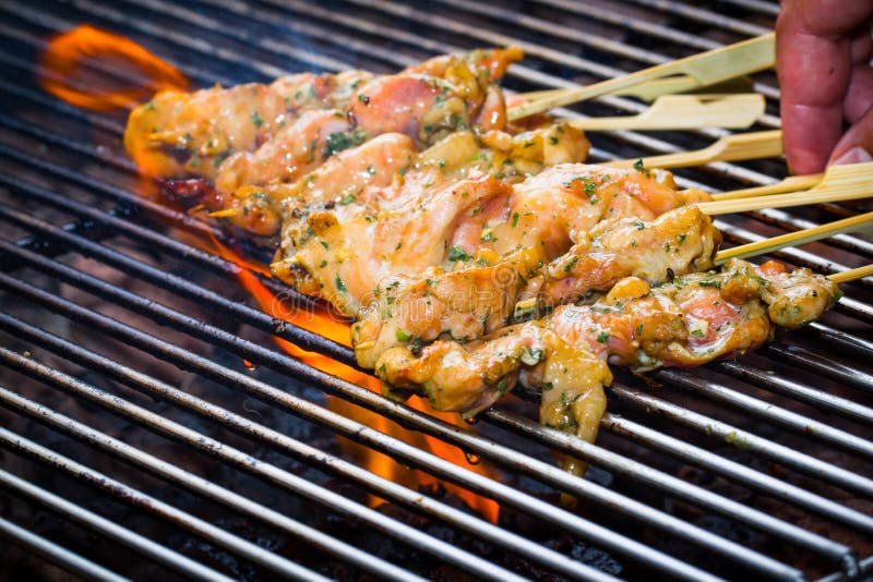 BBQ chicken on flame stock image. Image of cook, flame - 79081449