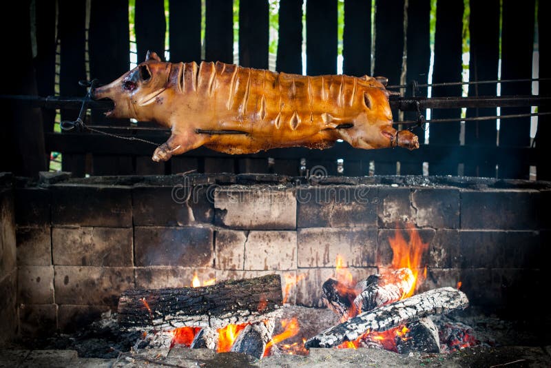 BBQ de porc image stock. Image du chauffer, repas, incendie - 44385637