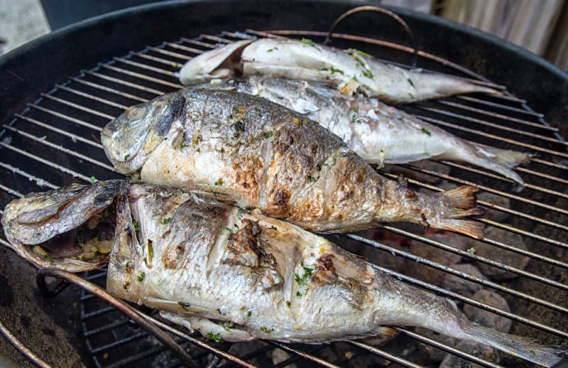 BBQ Dorade stock image. Image of meal, prepared, cooking - 55845299