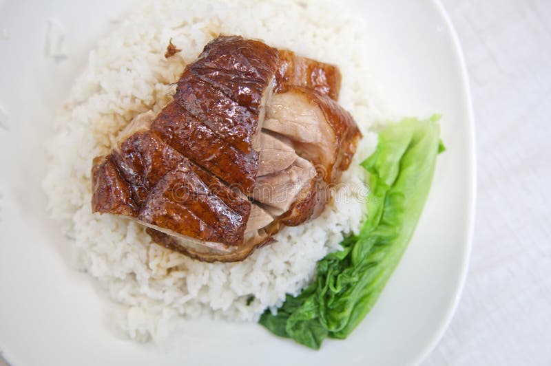 BBQ duck over steamed rice stock photo. Image of delicious - 37393724