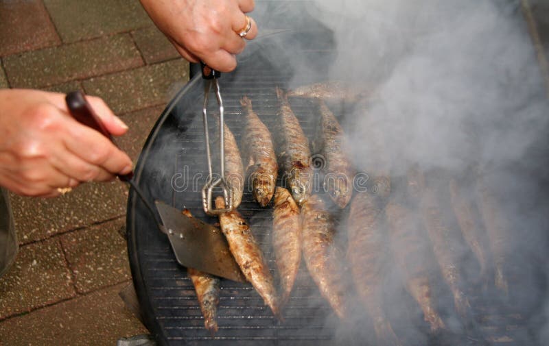 BBQ - Fish stock photo. Image of meal, burnt, camp, outdoor - 1025234