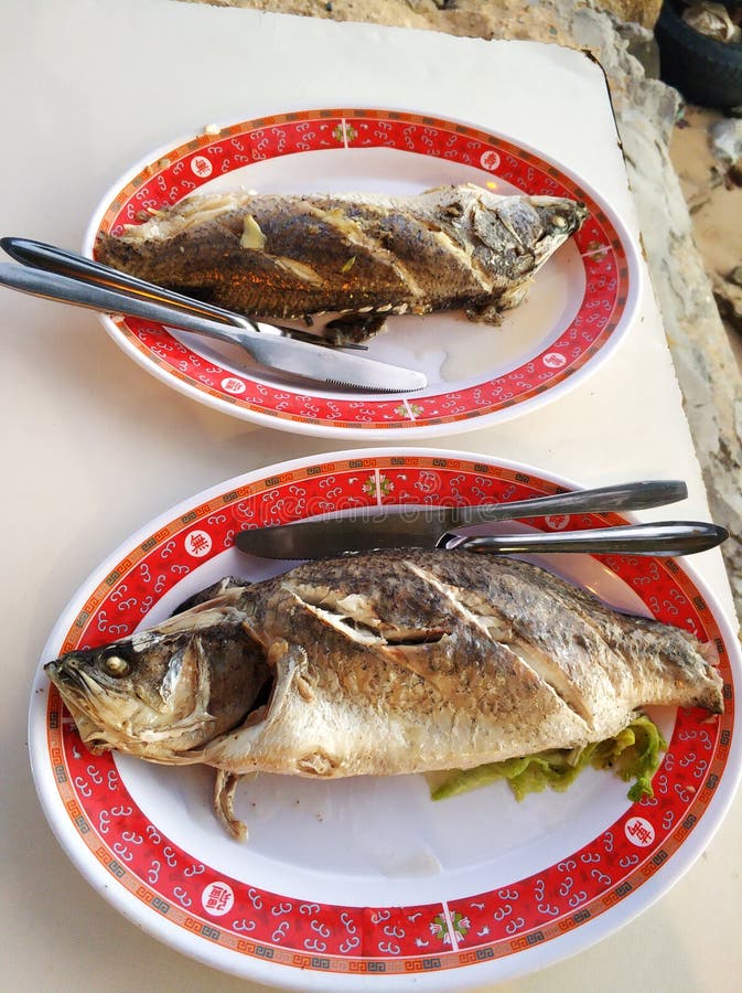 BBQ Fish Dinner by the Sea. Seafood in the Tropics Stock Image - Image ...