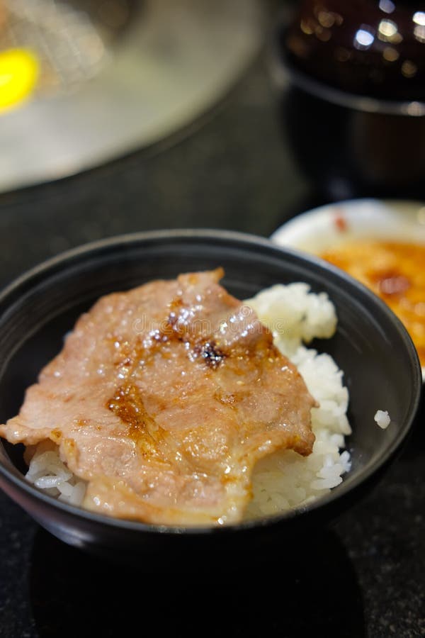 Bbq grill on rice stock image. Image of meal, slice - 104336133