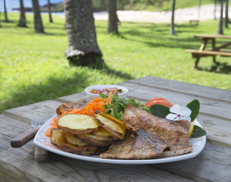 BBQ lunch outdoor stock image. Image of fresh, lunch - 34986203