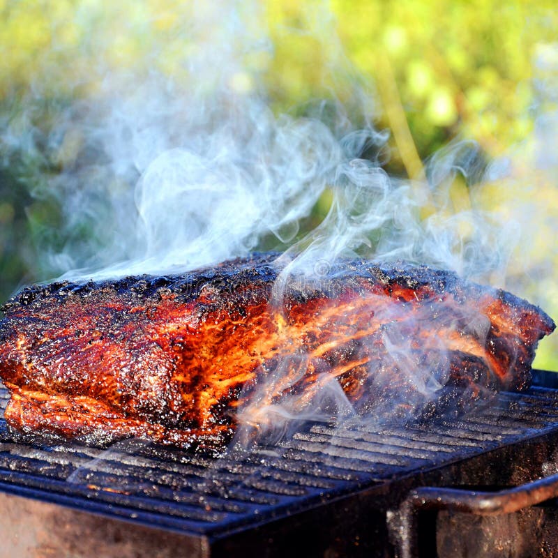 Bbq meat over an open fire stock photo. Image of autumn - 238880884