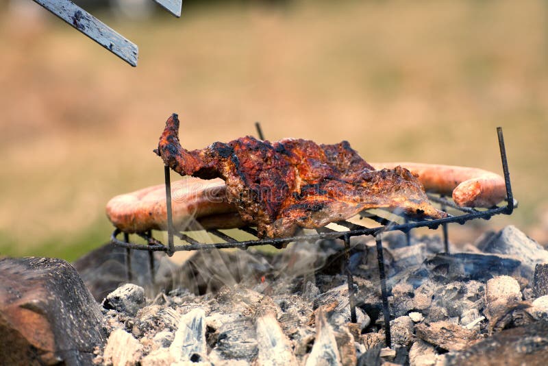Bbq picnic stock photo. Image of lunch, nutritious, grill - 24106790
