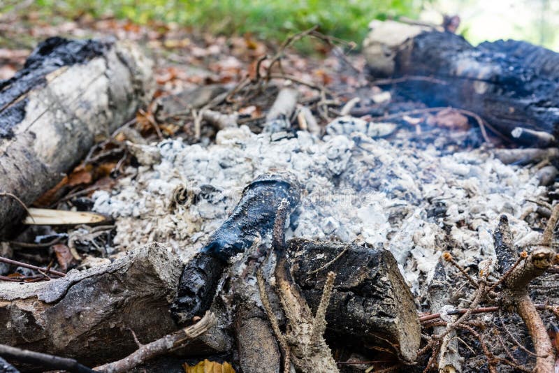 Bbq Place in Forrest with Small Fire Burning and Grey Ash Stock Image ...