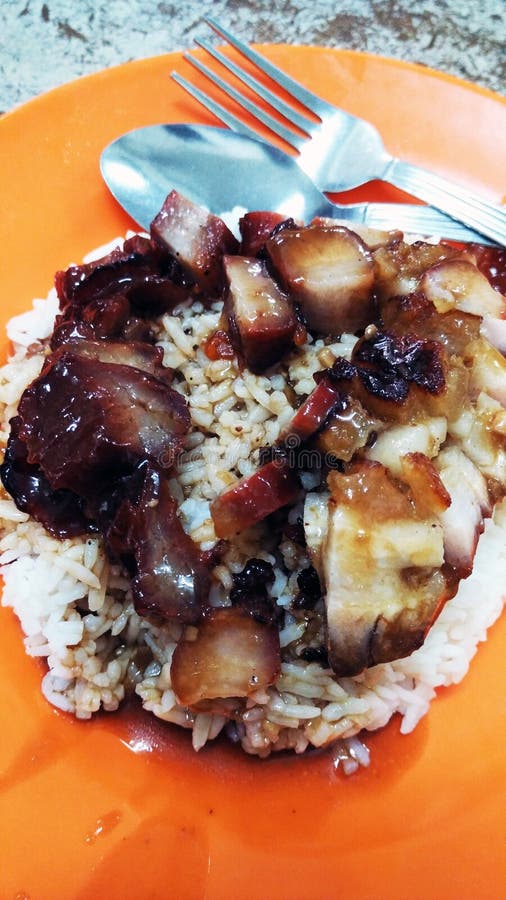BBQ pork rice stock photo. Image of oriental, crispy - 56475034