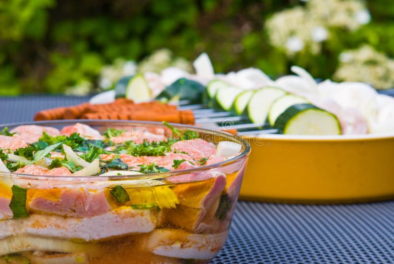 BBQ Raw Material stock photo. Image of shashlik, marrow - 5424374