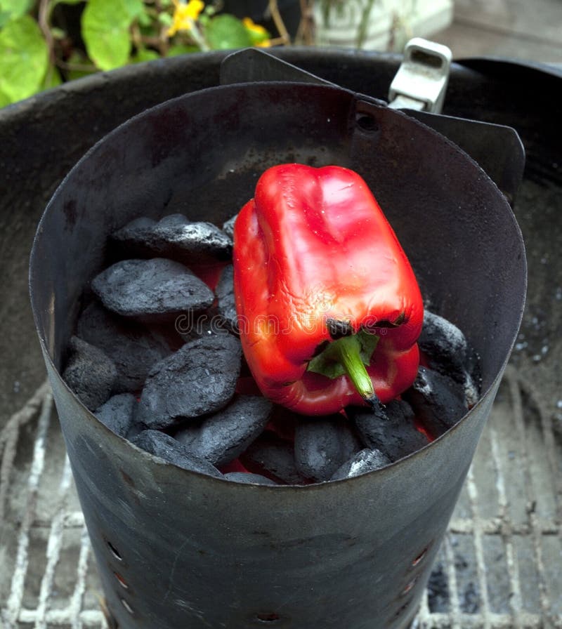 BBQ Red Pepper stock image. Image of barbecue, charred - 95212361
