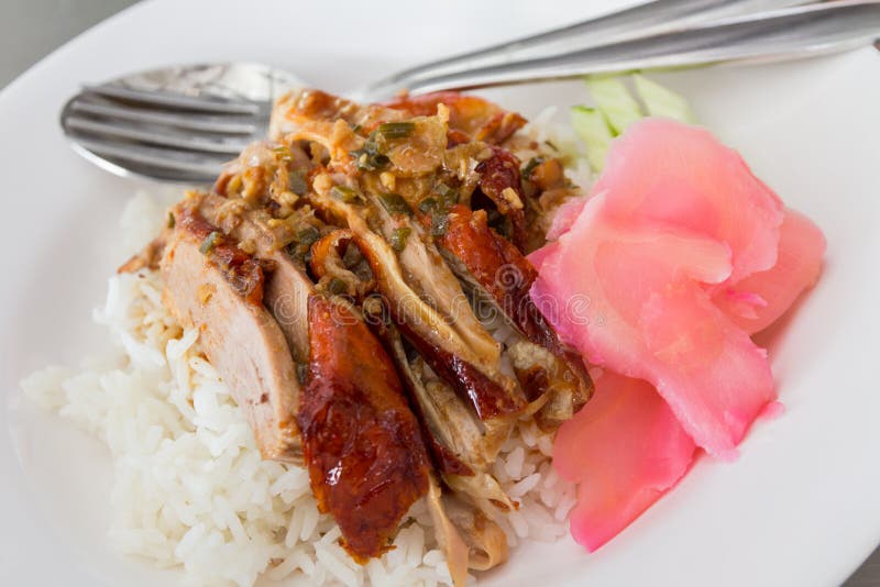 BBQ Roast Duck over Rice stock photo. Image of asia, breast - 42467182