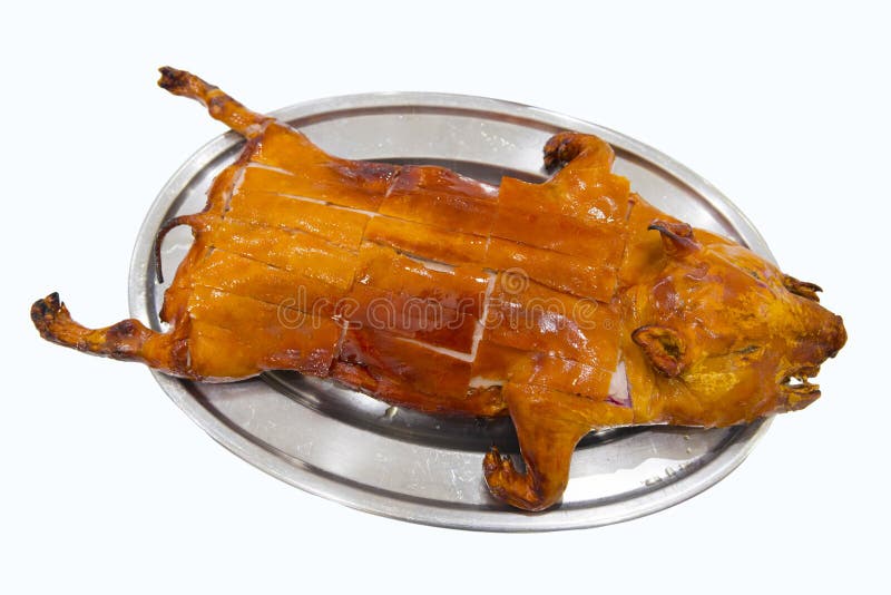 BBQ Suckling pig stock photo. Image of eating, head, heat - 65874936