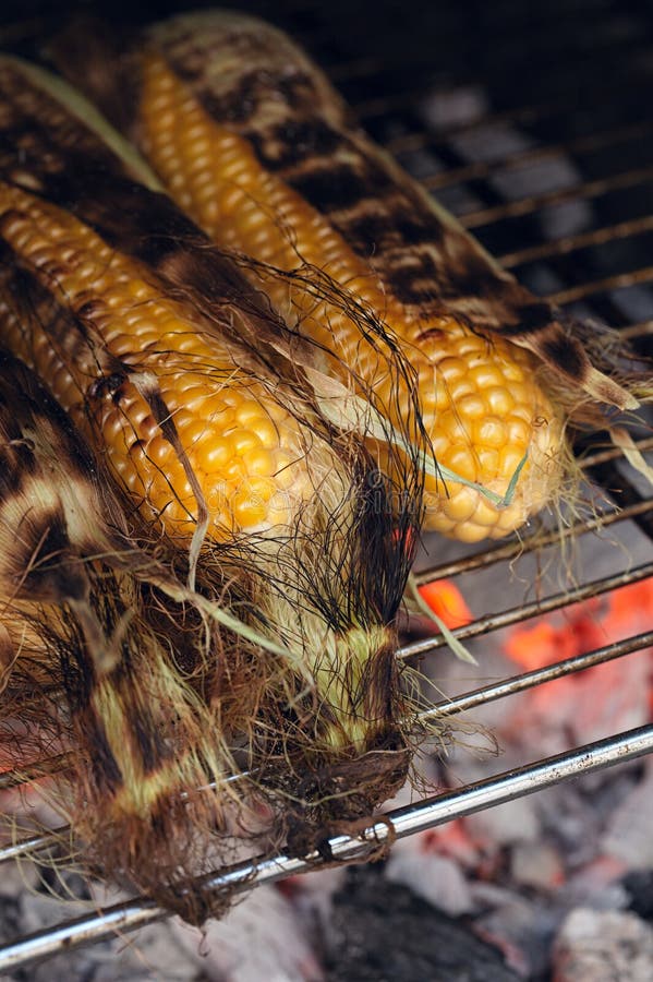 Bbq sweetcorn with leaves stock image. Image of grilled - 21340299