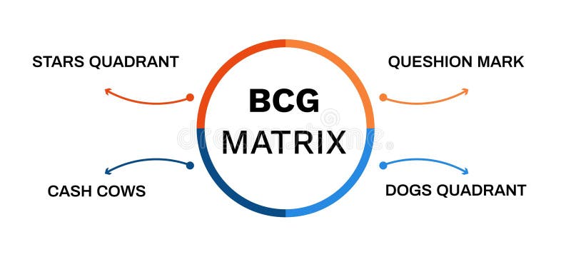 Bcg Matrix Diagram. Development and Product Development Stock Vector ...