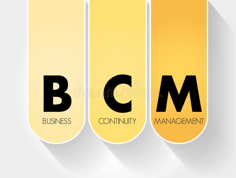 Bcm System Stock Illustrations – 24 Bcm System Stock Illustrations ...