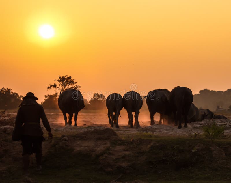 Be back home stock image. Image of strong, sundown, light - 35107803