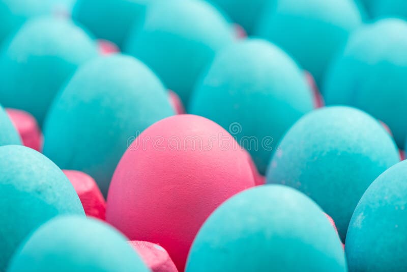 Be Different Conceptual Visual Art of Eggs Stock Photo - Image of ...