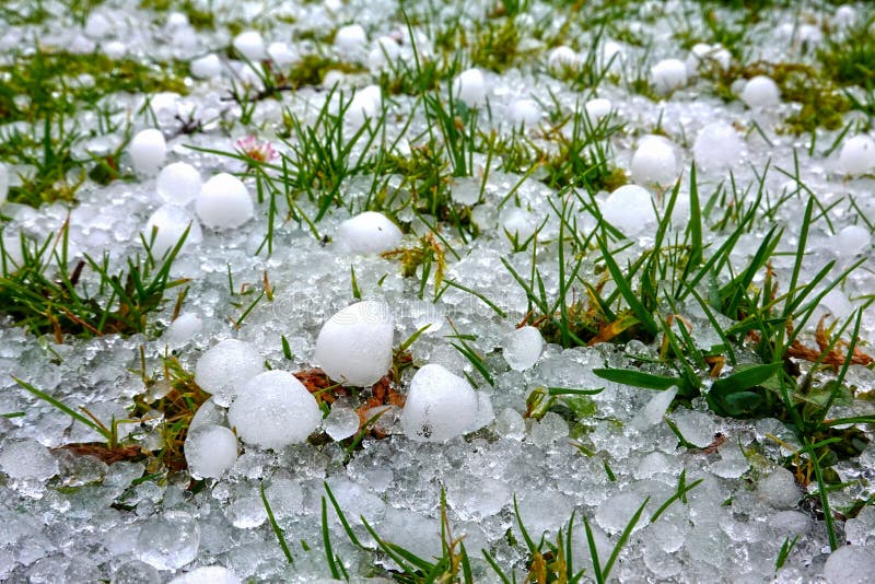 Hailstones after a Heavy Thunderstorm in Summer Stock Image - Image of ...