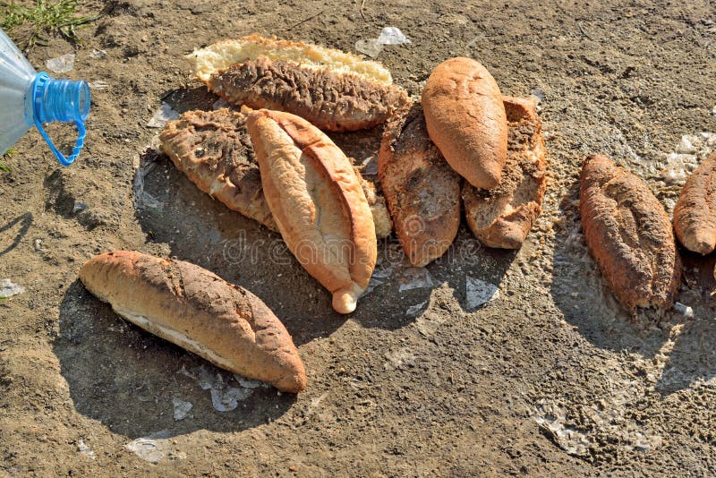 Bread Wasted Food Stock Photos - Free & Royalty-Free Stock Photos from ...