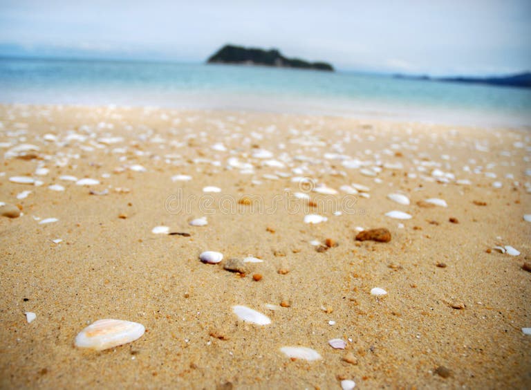 5,657 Beach Shore Graphic Stock Photos - Free & Royalty-Free Stock ...