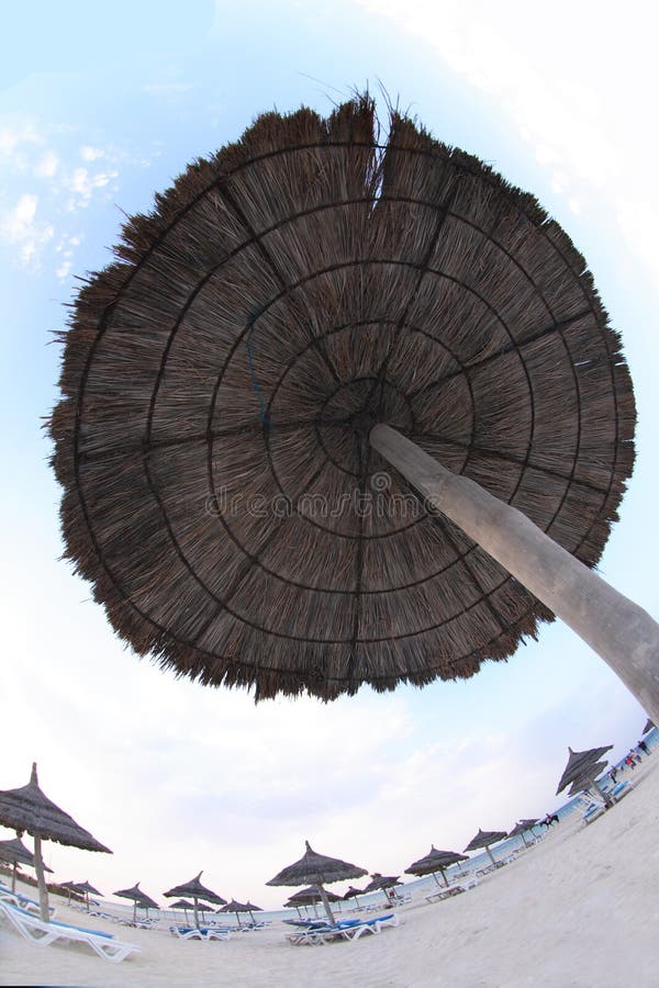 Solar cooker stock photo. Image of energy, object, zanskar - 7748068