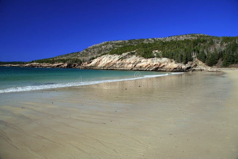 Beach at Acadia National Park Stock Photo - Image of seashore, shore ...