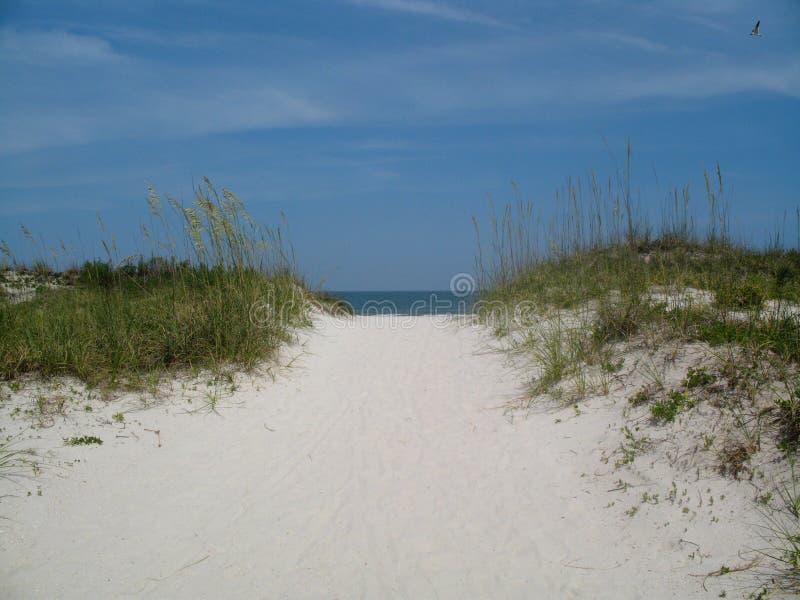 Beach access stock photo. Image of landscape, seaside - 49037730