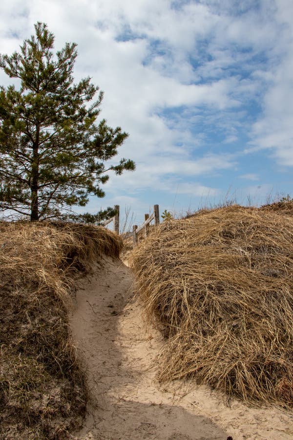 Beach Access Trail at Sauble Beach Stock Image - Image of park ...