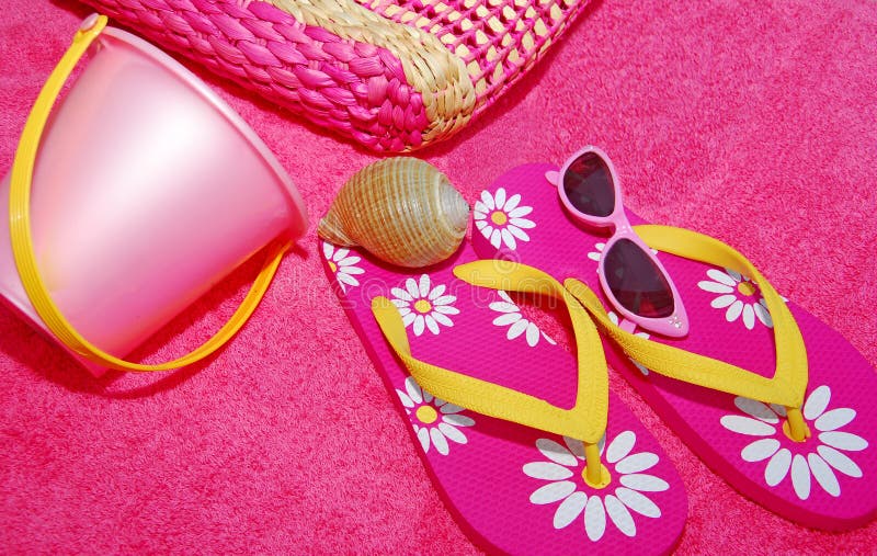 Seashell on Beach Under Palm Stock Image - Image of tidal, gulf: 5622009