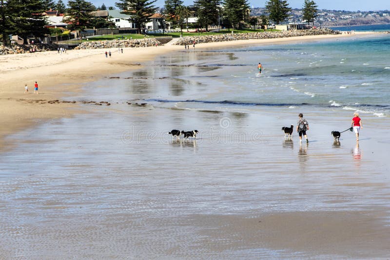 Beach in Adelaide editorial photography. Image of travel - 40308357