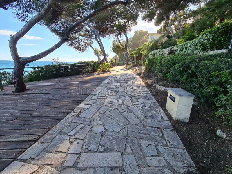 Beach of altafulla stock photo. Image of places, sunset - 247587906