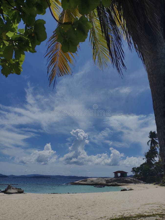 Beach in Anambas stock image. Image of tree, beach, coast - 264399139