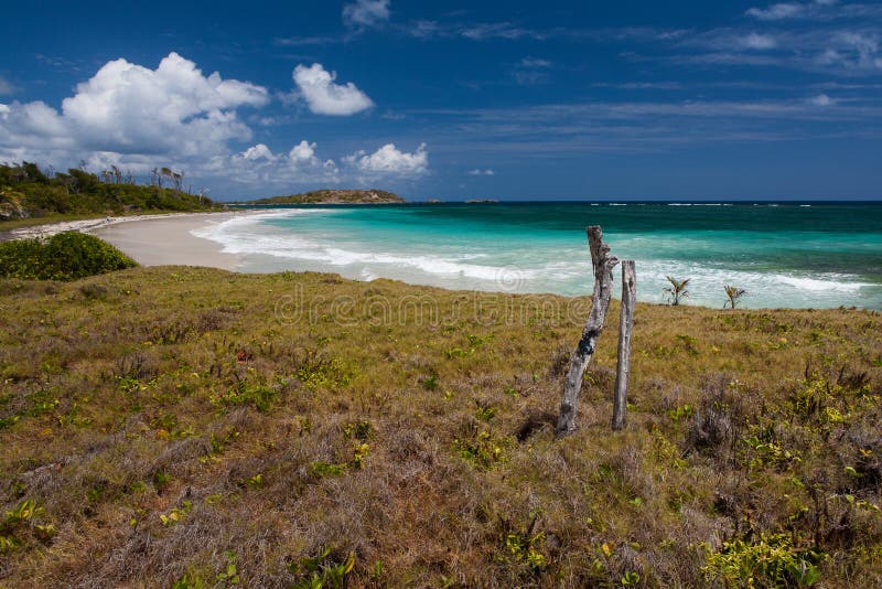 Beach of Anse Trabaud, Martinique Stock Photo - Image of france ...